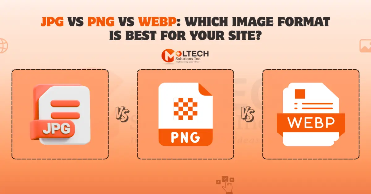 JPG vs PNG vs WebP: Best Image Format | Moltech Solutions