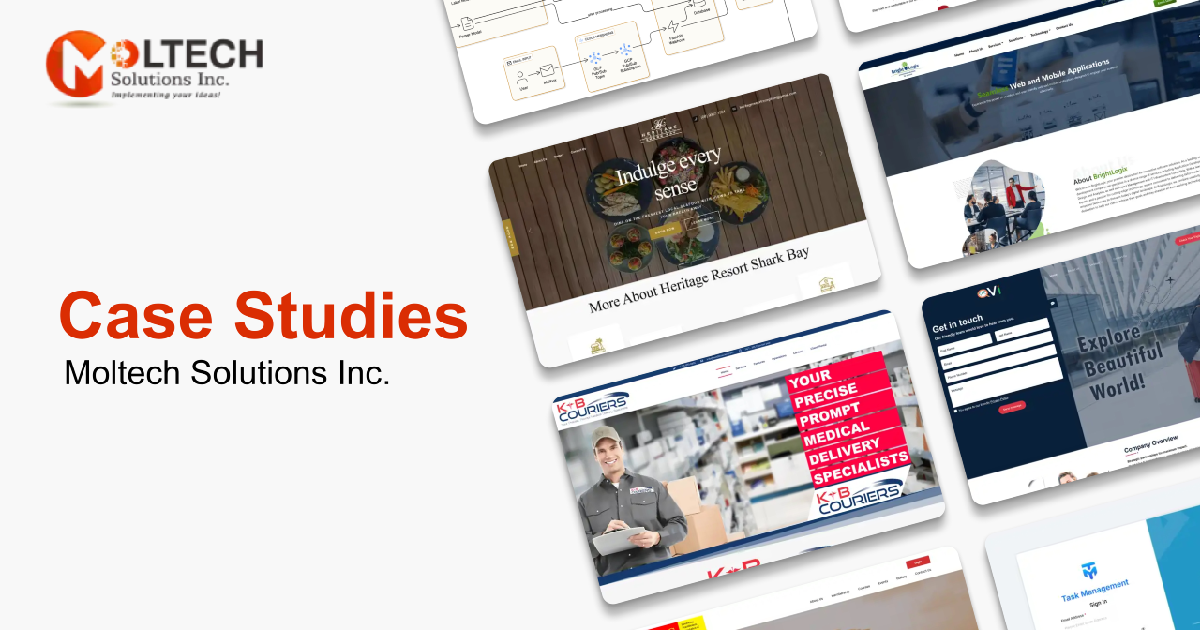 Success Stories | Custom Software & App Development Case Studies USA | Moltech Solutions Inc