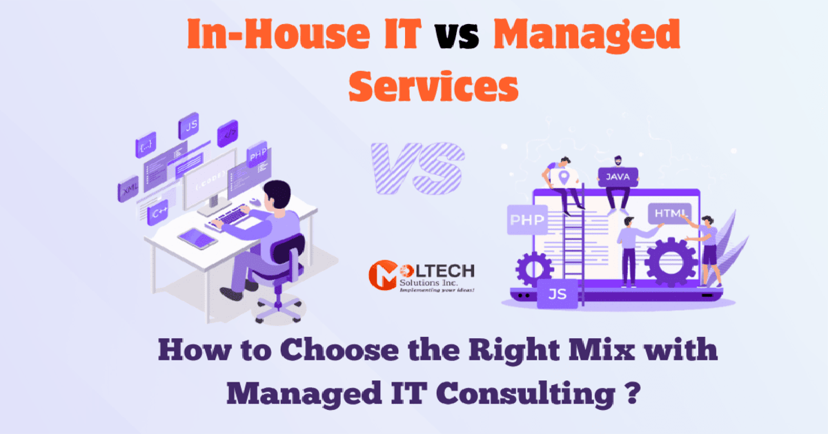 In-House IT vs Managed Services: Managed IT Consulting for Growth | Moltech Solutions Inc