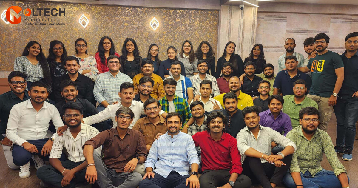 Moltech Solutions Inc. | Global & USA Software, AI, Digital Marketing ...