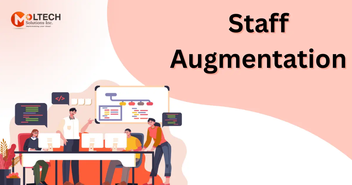 Top IT Staff Augmentation Company in USA | Moltech Solutions